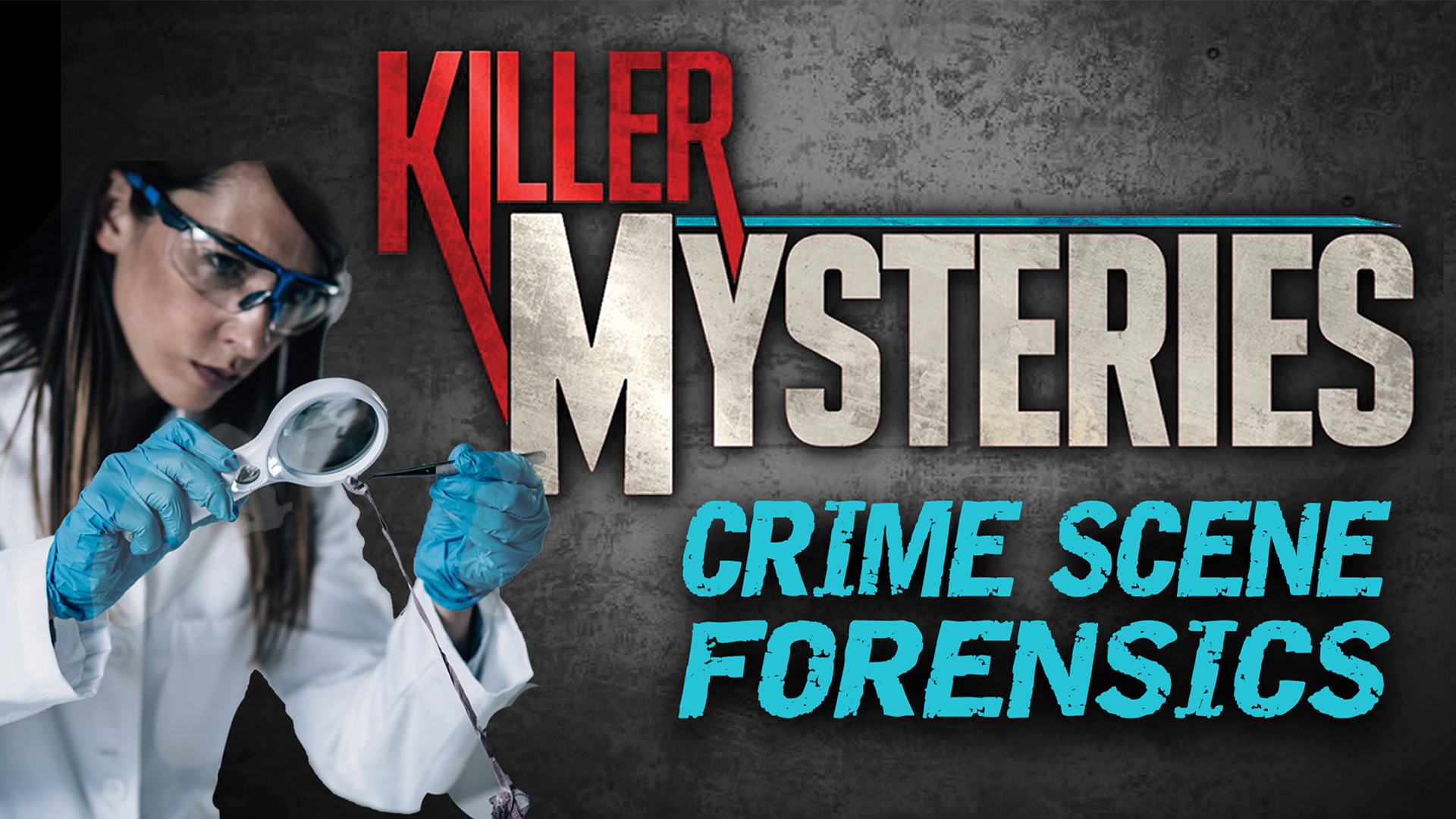 Killer Mysteries: Crime Scene Forensics - The Negligent Director ...